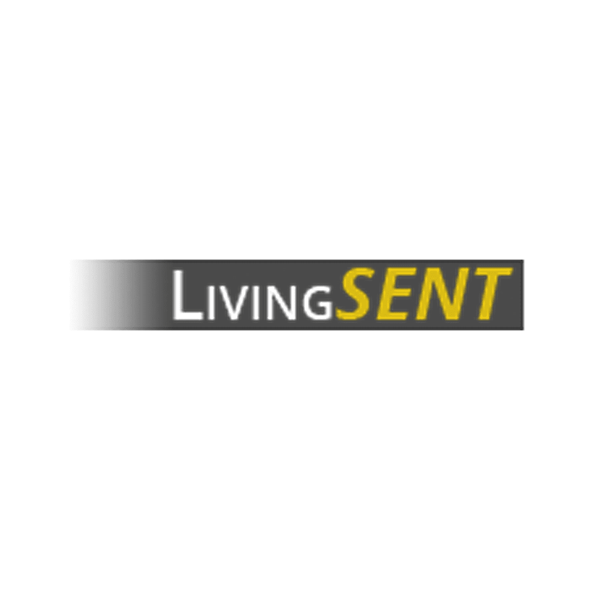 Living SENT Stories | Living SENT